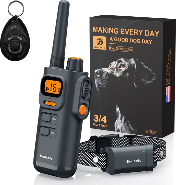 Training & Tech Collars - Free shipping | Chewy