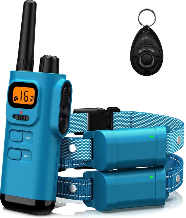 Dog Training & Tech Collars - Free shipping | Chewy