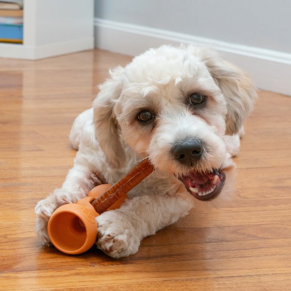 BOW WOW LABS Buddy Safety Device Bully Stick Treat Holder, Orange ...