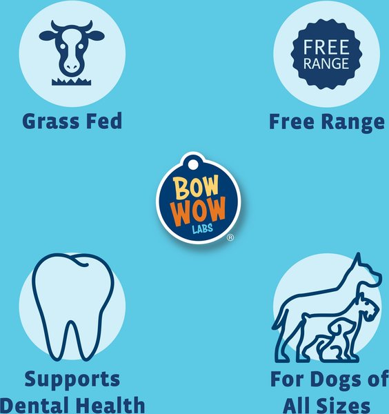 BOW WOW LABS Safe Fit 6-in 100% Beef Bully Sticks Dog Treats, 10 count ...