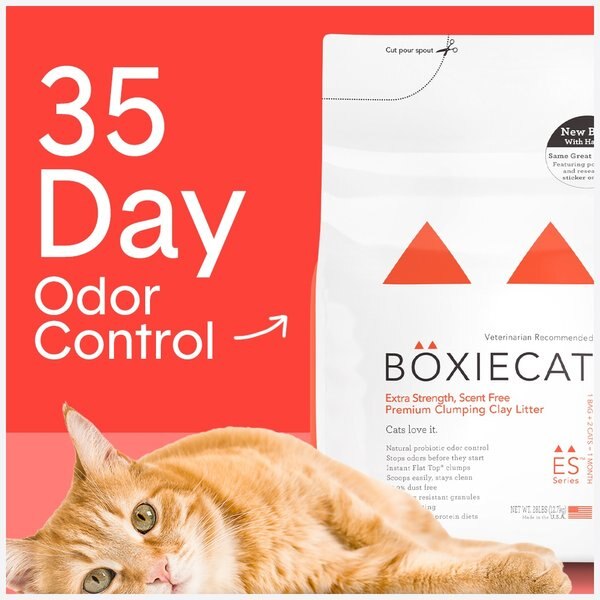 BOXIECAT Extra Strength Odor Control Clumping Clay Cat & Kitty Litter ...