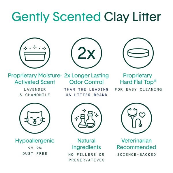 BOXIECAT Gently Scented Premium Clumping Clay Cat & Kitty Litter, 16-lb ...