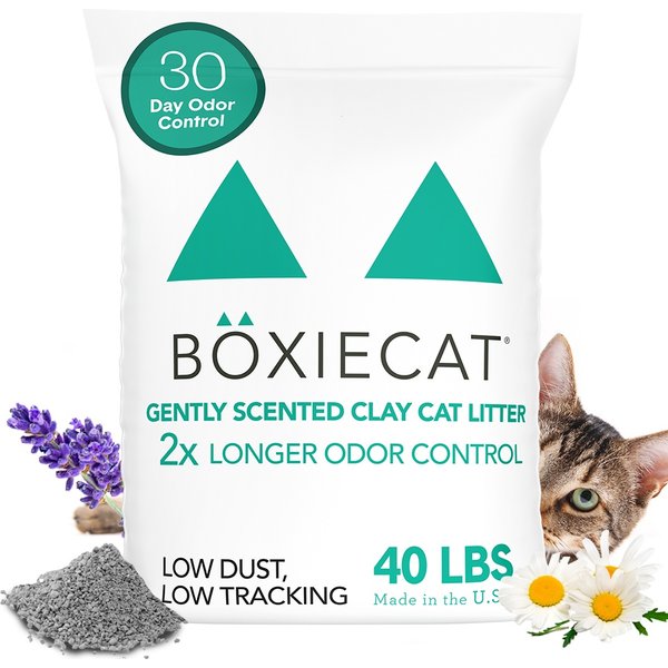 BOXIECAT Unscented Odor Control Clumping Clay Cat & Kitty Litter, 40-lb ...
