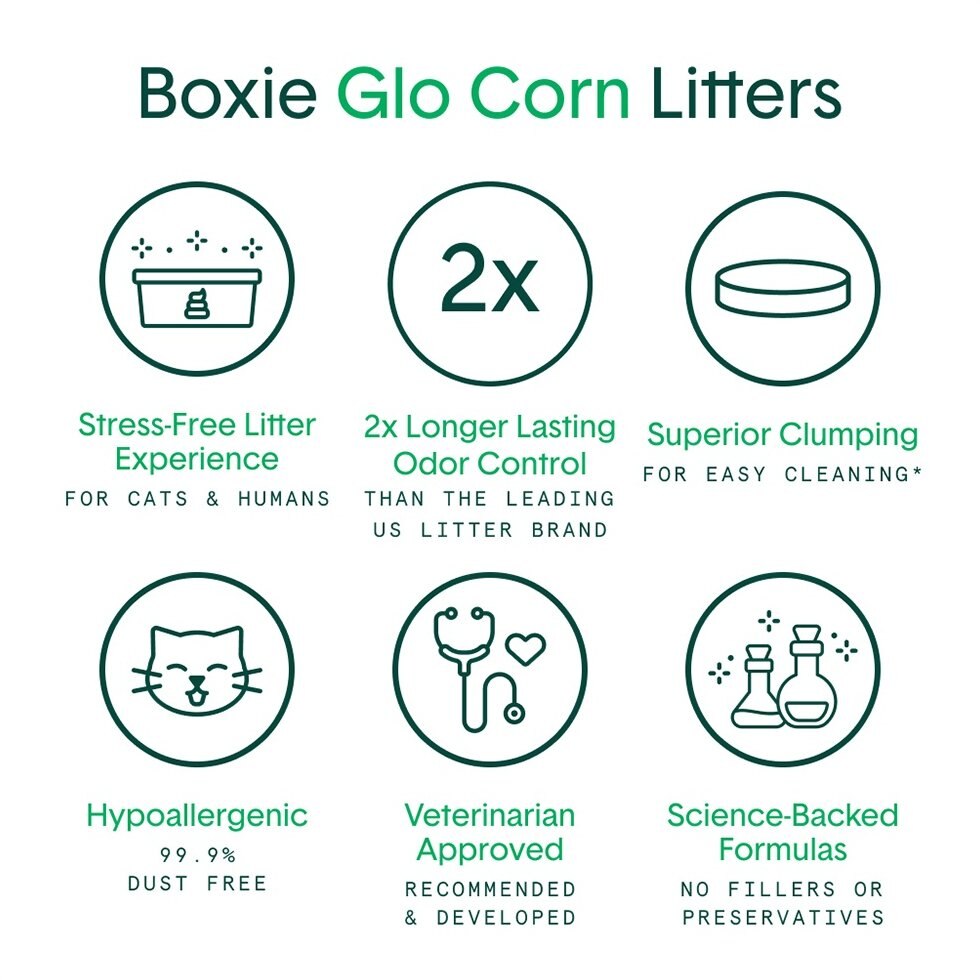 BOXIECAT Glo Corn Clumping Cat & Kitty Litter, 16.5-lb bag - Chewy.com