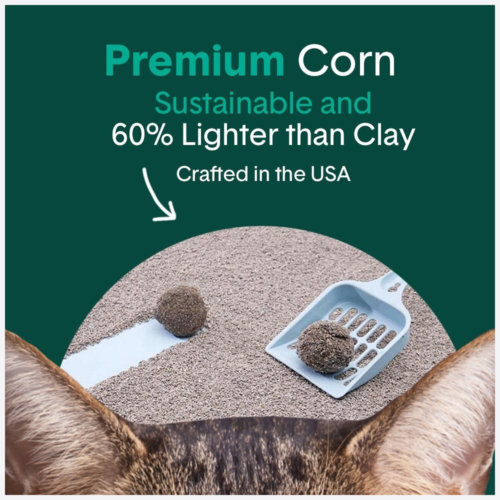 BOXIECAT Glo Corn Clumping Cat & Kitty Litter, 16.5-lb bag - Chewy.com