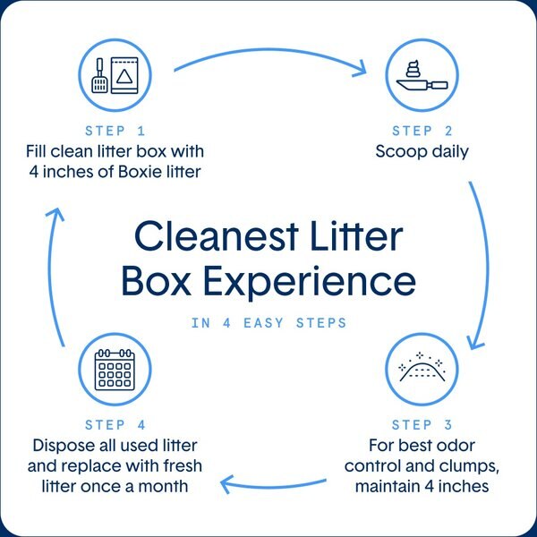 BOXIECAT Glo Corn Clumping Cat & Kitty Litter, 16.5-lb bag - Chewy.com