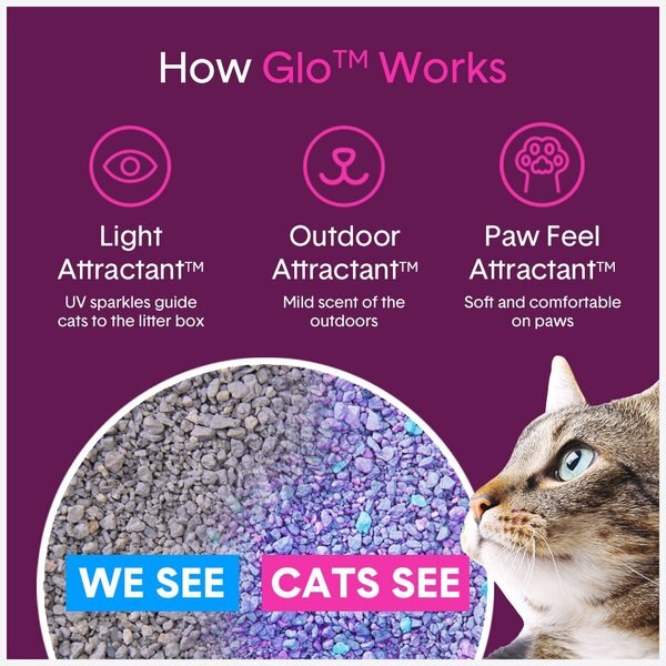 BOXIECAT Glo Corn Clumping Cat & Kitty Litter, 16.5-lb bag - Chewy.com