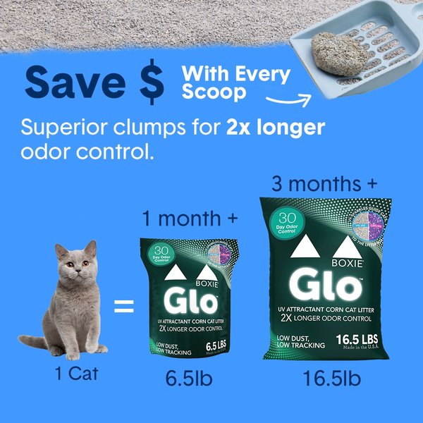 BOXIECAT Glo Corn Clumping Cat & Kitty Litter, 16.5-lb bag - Chewy.com