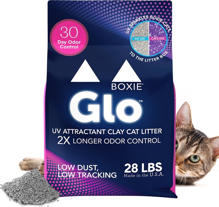 Kitty Litter For Cats (Free Shipping) | Chewy