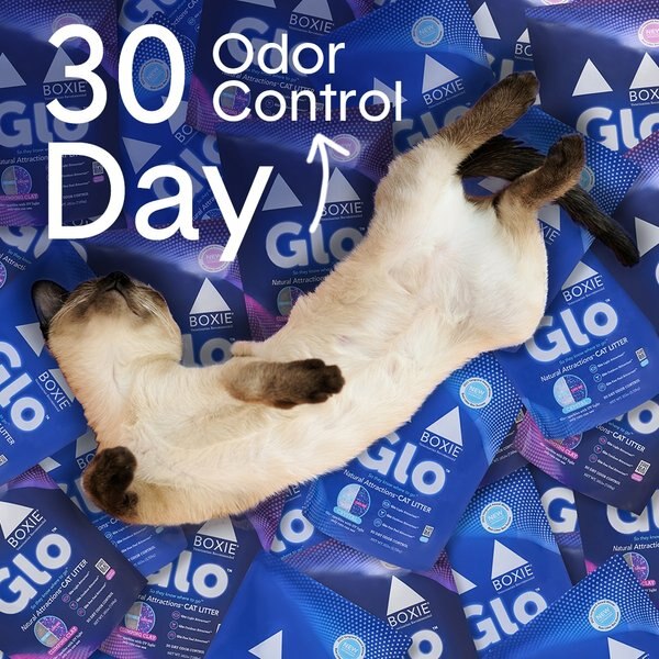 BOXIECAT Glo Natural Stress-Relief Clumping Clay Cat & Kitty Litter ...