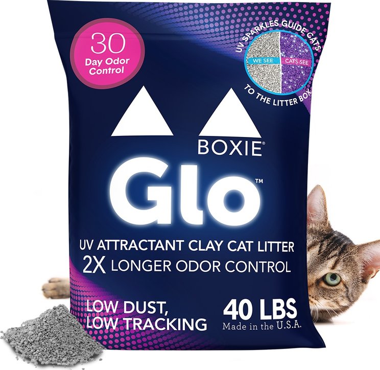 Boxiecat Glo Cat Litter - Free shipping | Chewy
