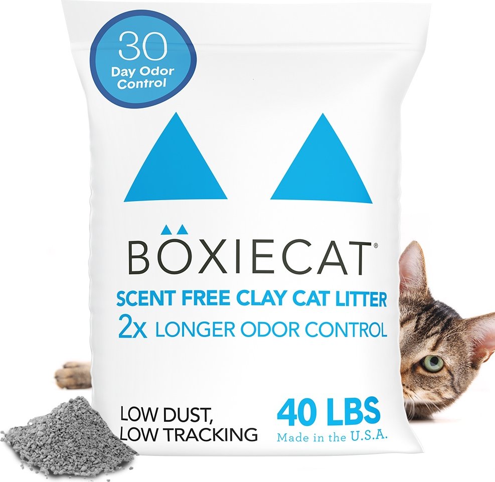 BOXIECAT Unscented Odor Control Clumping Clay Cat & Kitty Litter, 40-lb ...