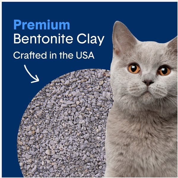 BOXIECAT Unscented Odor Control Clumping Clay Cat & Kitty Litter, 40-lb ...