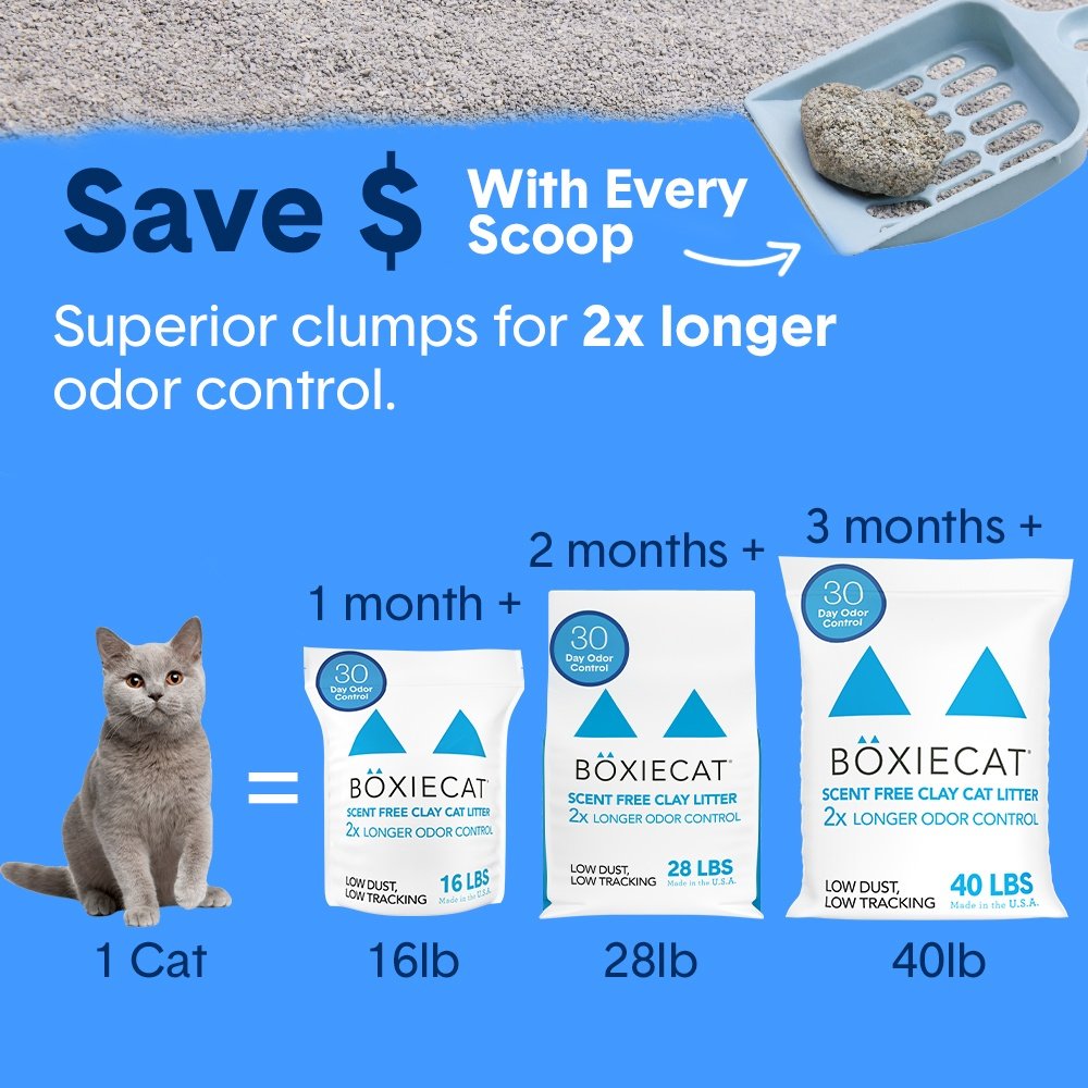 BOXIECAT Unscented Odor Control Clumping Clay Cat & Kitty Litter, 40-lb ...