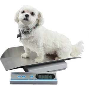 REDMON Precision Digital Pet Scale, Large - Chewy.com