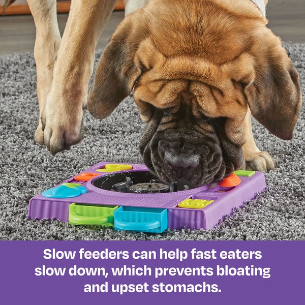 BRIGHTKINS DJ Doggo Puzzle Feeder Dog Toy - Chewy.com