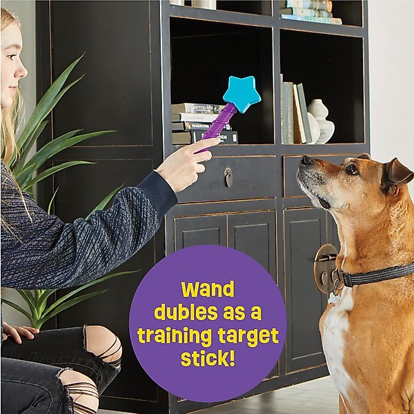 BRIGHTKINS Magic Wand! Star Treat Dispensing Dog Toy - Chewy.com