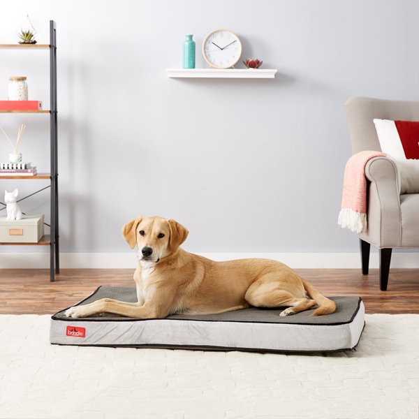 LOVMOR Oversized Human Dog Bed, Khaki - Chewy.com