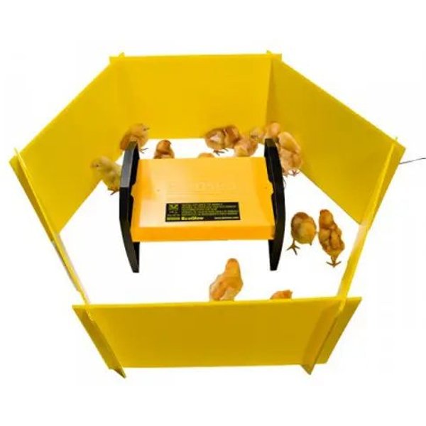 BRINSEA Chick Brooder Enclosure Panel Set - Chewy.com