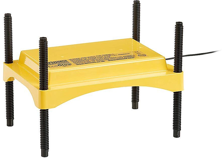 BRINSEA EcoGlow Safety Chick & Duckling Brooder, 600 - Chewy.com