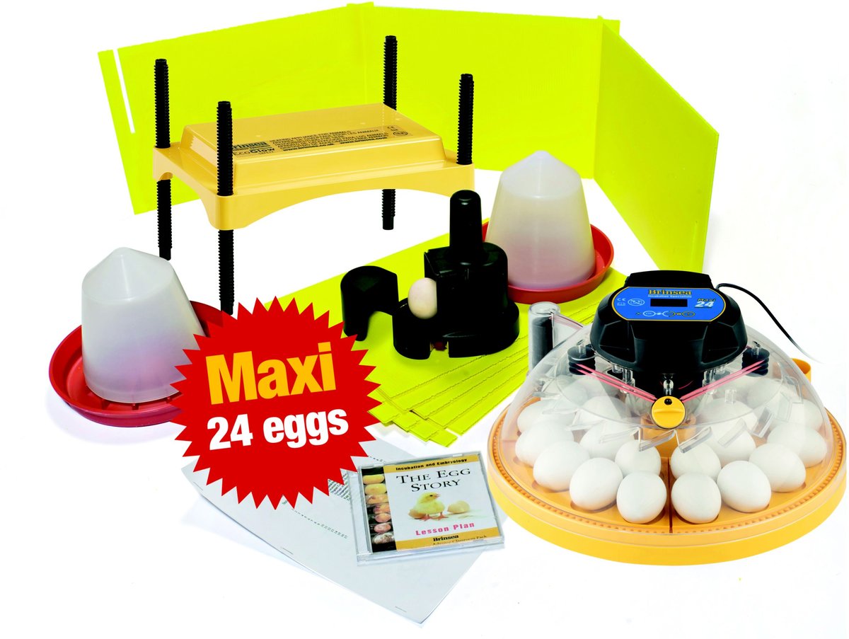 BRINSEA Advance Bird Egg Incubator Classroom Pack, Maxi II, 24 count ...