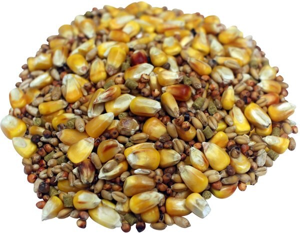 BROWN'S Bird Lover's Blend Duck & Goose Food, 7-lb bag - Chewy.com