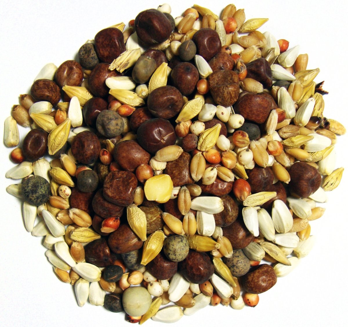 BROWN'S Elite High Protein Corn Free Kafir Seeds & Grains Dove & Pigeon ...