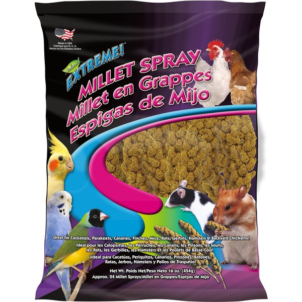 BROWN'S Extreme! Natural Spray Millet Bird Treat, 16-oz bag - Chewy.com