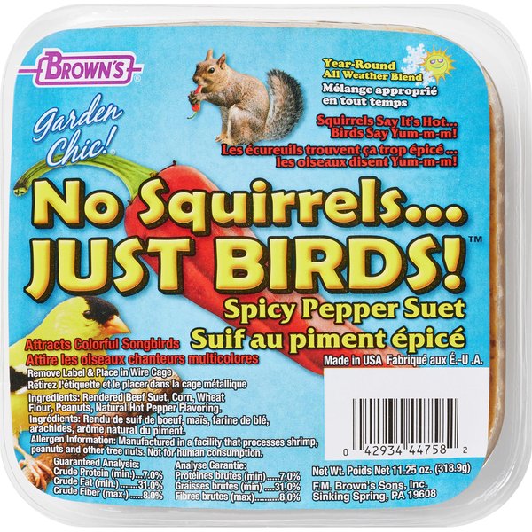 C&S Nut'n Sweet Corn Squirrelog Refill Squirrel Food, 32-oz - Chewy.com