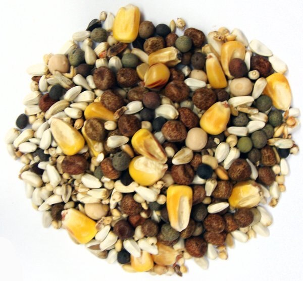 BROWN'S International Pro Racing Small Corn Premium Pigeon Food, 50-lb ...