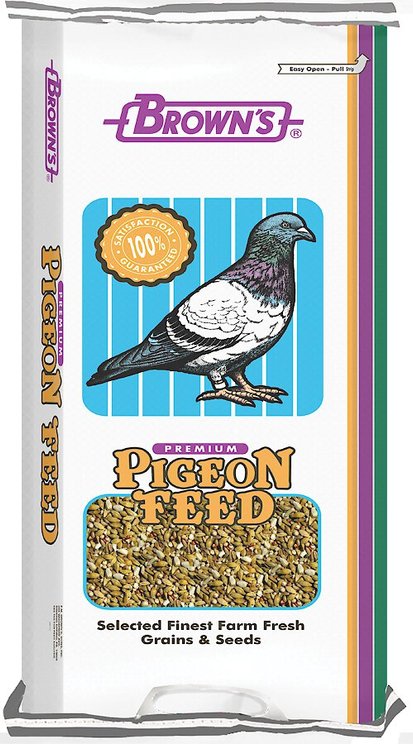 Pigeon Supplies & Accessories | Chewy