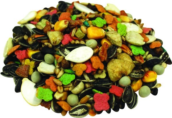 BROWN'S Tropical Carnival Gourmet Mouse & Rat Food, 2-lb bag - Chewy.com