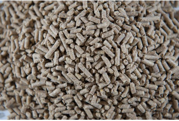 BUCKEYE NUTRITION Gro 'N Win Alfa Horse Feed, 50-lb bag - Chewy.com