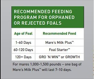 BUCKEYE NUTRITION Mare's Milk Plus Milk Replacer Powder Horse ...