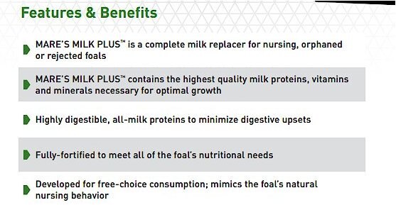 BUCKEYE NUTRITION Mare's Milk Plus Milk Replacer Powder Horse ...