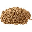 BUCKEYE NUTRITION Ultimate Finish 25 High-Fat Weight Gain Pellets Horse ...