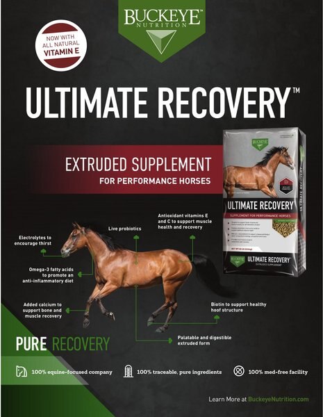 BUCKEYE NUTRITION Ultimate Recovery Extruded Performance Pellets Horse ...