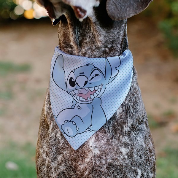 BUCKLE-DOWN Disney Lilo & Stitch Stitch Winking Pose & Polka Dots Dog ...
