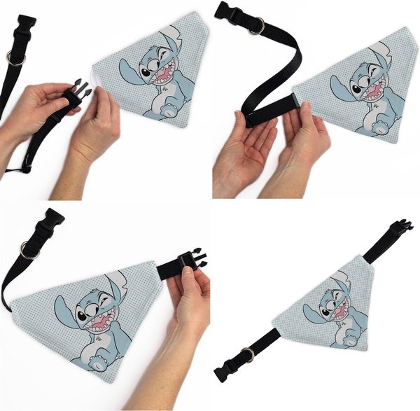 BUCKLE-DOWN Disney Lilo & Stitch Stitch Winking Pose & Polka Dots Dog ...