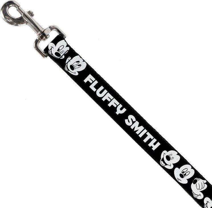 Personalized & Custom Dog Leashes - Free shipping | Chewy