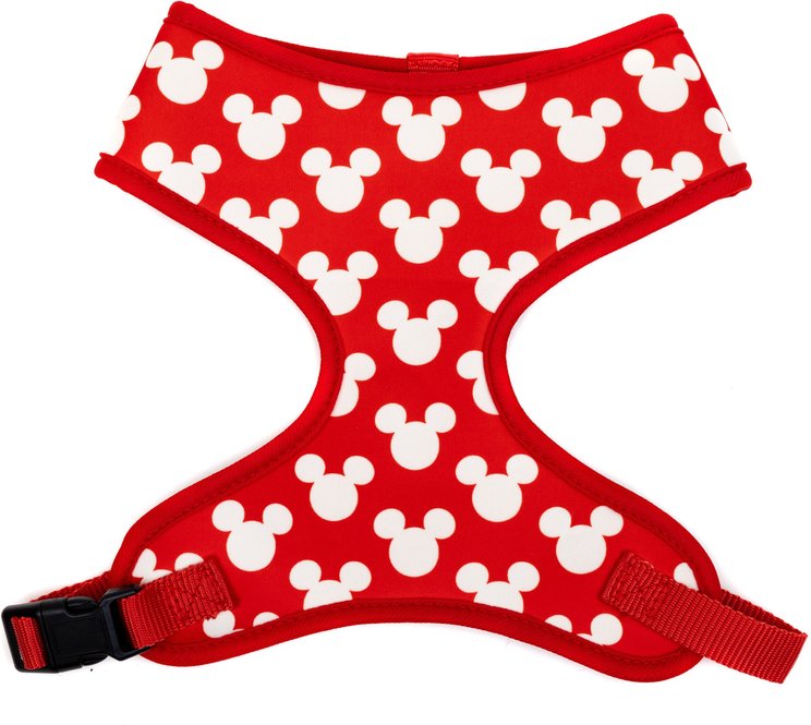 DISNEY COLLARS & LEASHES (Free Shipping) | Chewy