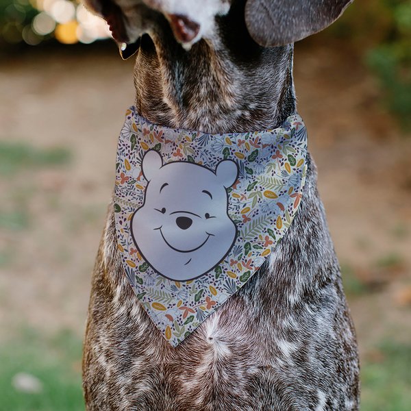 BUCKLE-DOWN Disney Winnie the Pooh Smiling Face Foliage Collage Dog ...