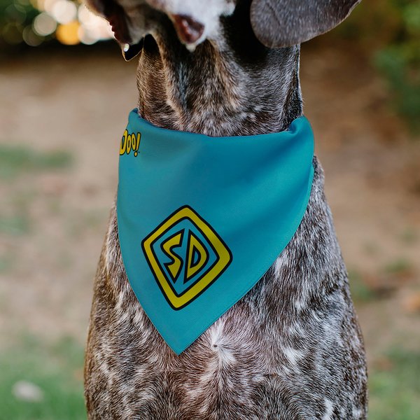 BUCKLE-DOWN Scooby Doo Collar Logo Dog Bandana - Chewy.com