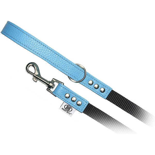MAX AND NEO DOG GEAR Nylon Reflective Double Dog Leash, Blue, 6-ft long ...