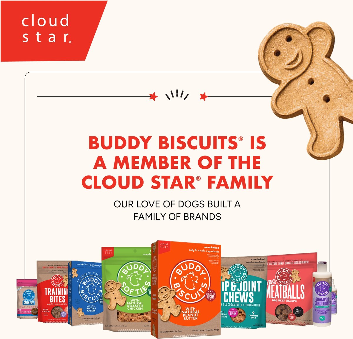 BUDDY BISCUITS Boosters Hip & Joint Chews Chicken Flavor Dog Treats, 5 ...