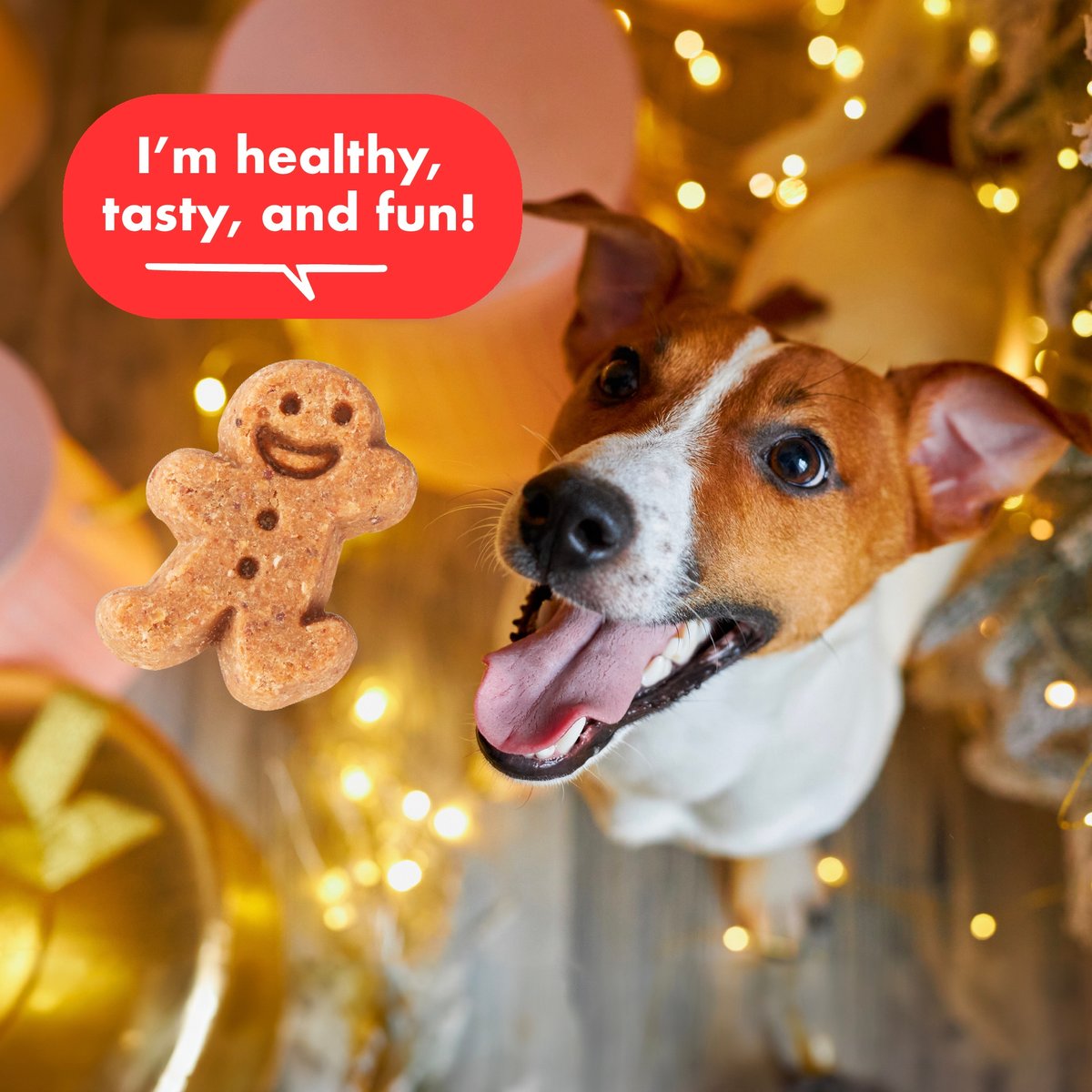 BUDDY BISCUITS Buddy Softies Holiday Treats Gingerbread Flavor Soft ...