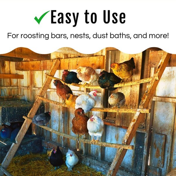 BUFF CLUCKS CoopShield Chicken Pest Control Powder, 12-oz bag - Chewy.com