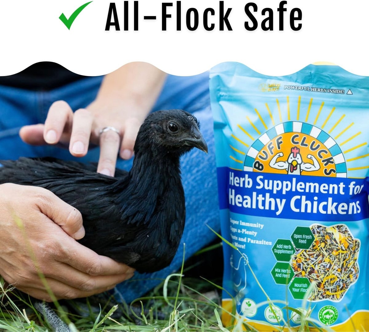 BUFF CLUCKS Herb Chicken Supplement, 12-oz bag - Chewy.com