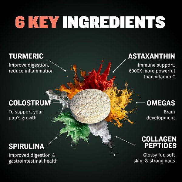 BULLY MAX 2-in-1 Development & Growth Tablet Supplement for Puppies, 3. ...