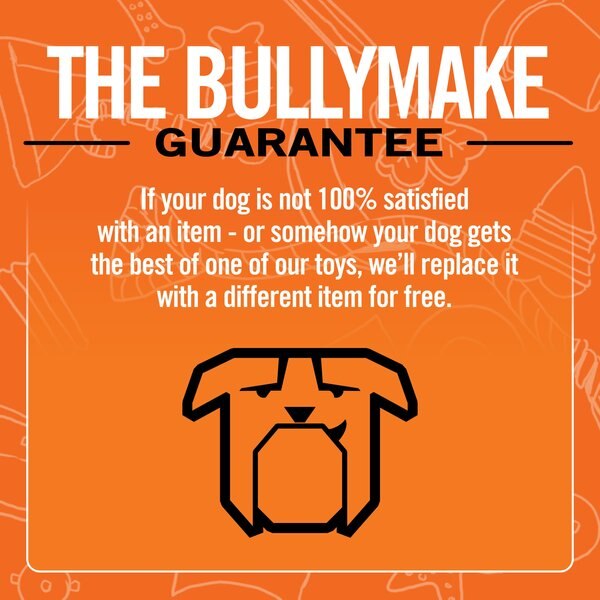BULLYMAKE Nylon Hammer Hard Chew Dog Toy, Silver - Chewy.com